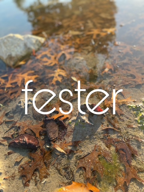 fester – herlucidlife