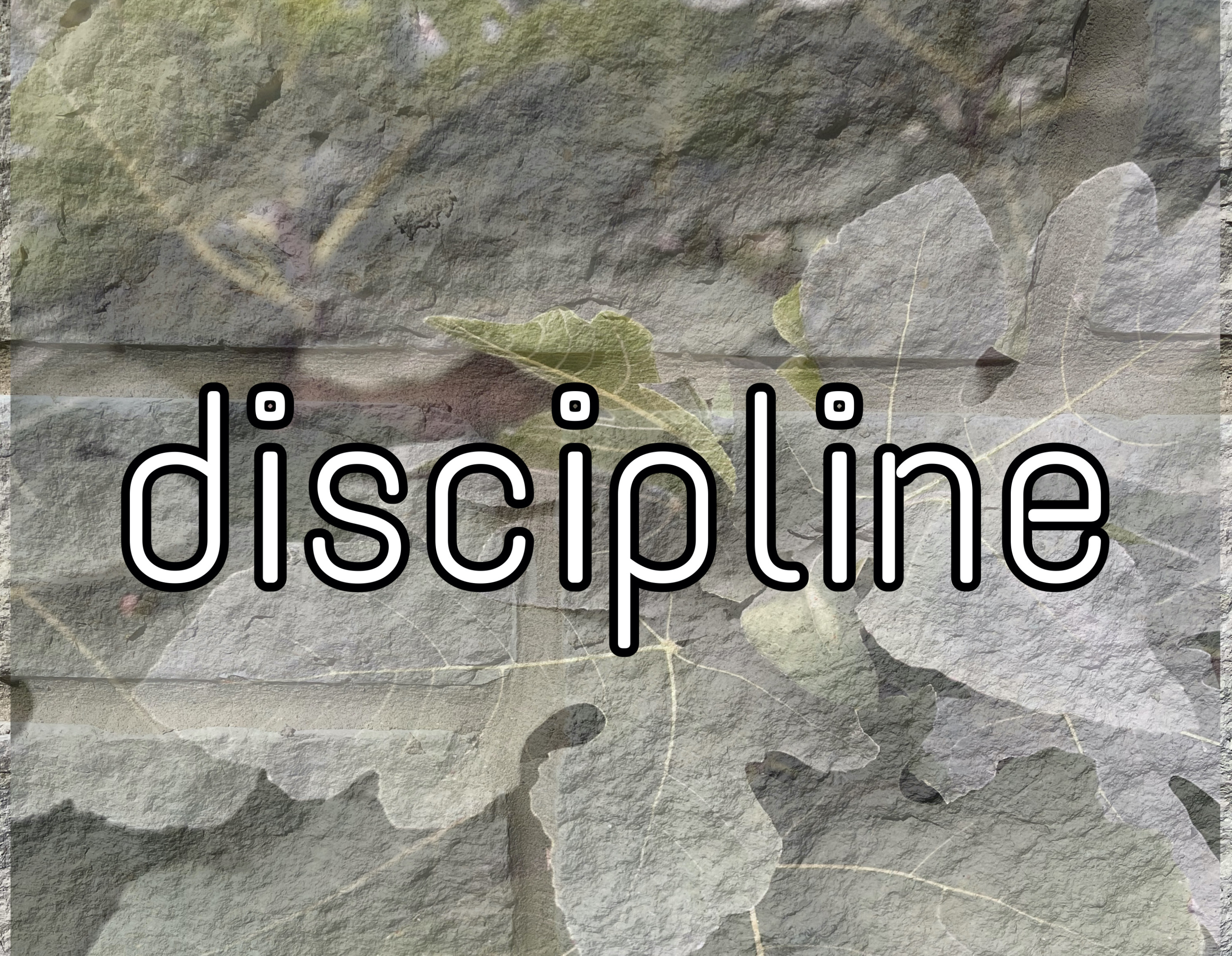 discipline – herlucidlife